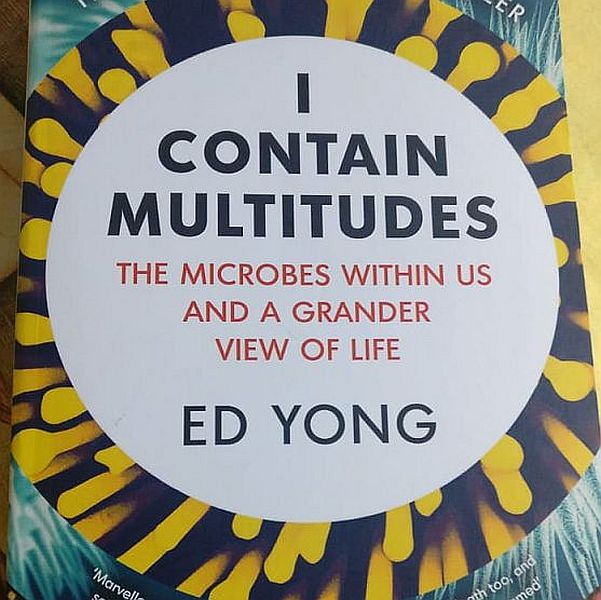 Book Review: Buddhism Is Not What You Think by Steve Hagen | TechieTonics